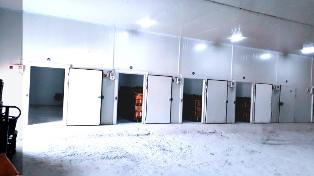 1000 MT Multipurpose Cold Room - Cold Room Manufacturer in India ...